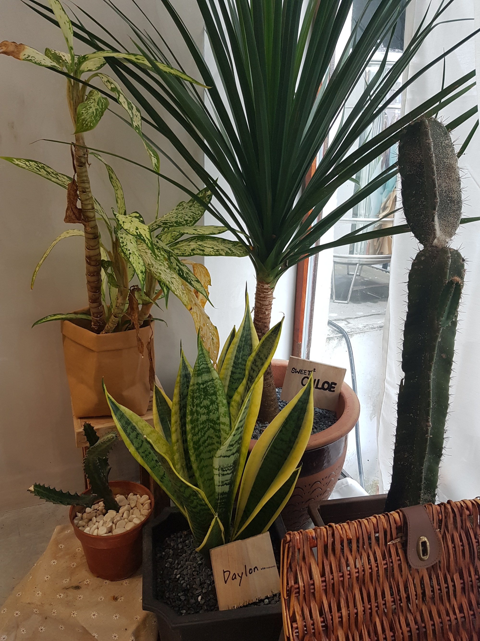 Yeon Cafe – Gudeiary