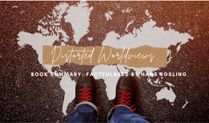 10 instincts that distort our worldview – Gudeiary
